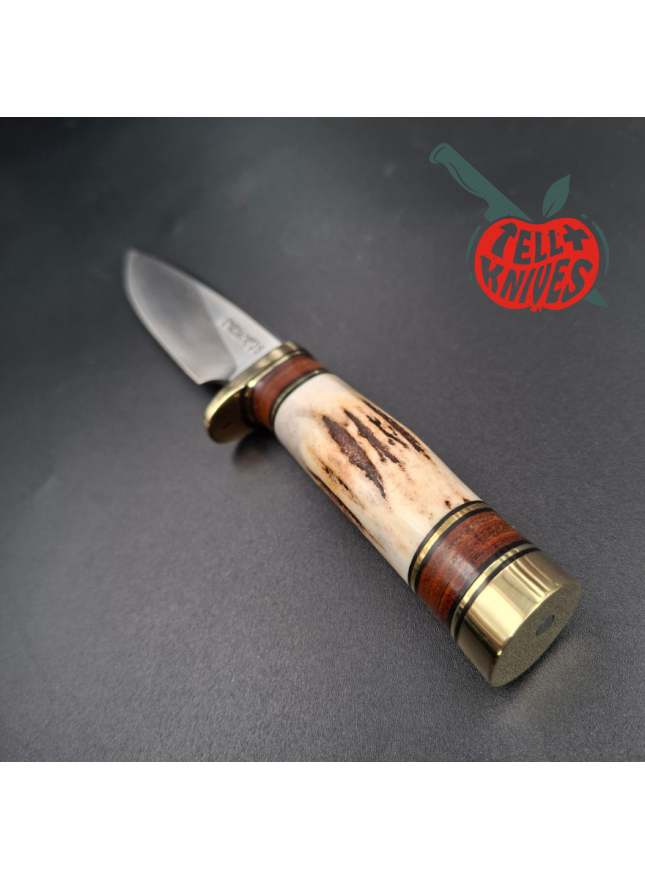 Randall Made Knives 1996 Model Mini 25 forged stainless steel stag ...