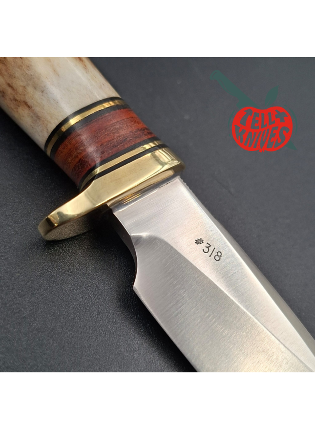 Randall Made Knives 1996 Model Mini 25 forged stainless steel stag ...