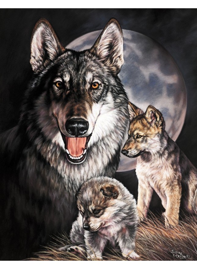 Graham Wolf Experience